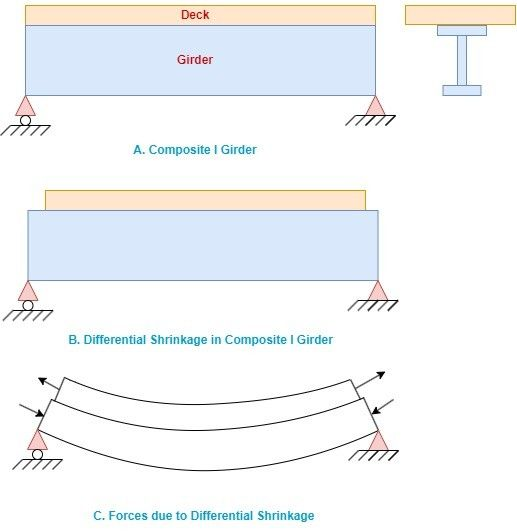 The Impact of Differential Shrinkage The Impact of Differential Shrinkage